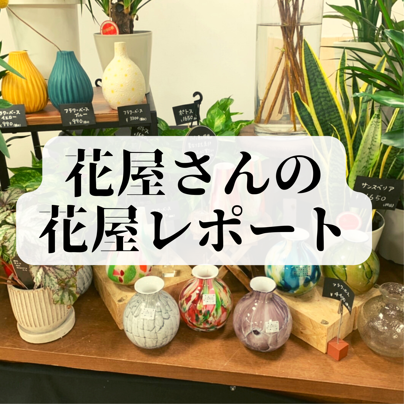 【花屋さんの花屋レポート9/20🧚フラワーショップelenh🧚‍♀️】 – 高級胡蝶蘭＆贈答花専門店グリーンベル